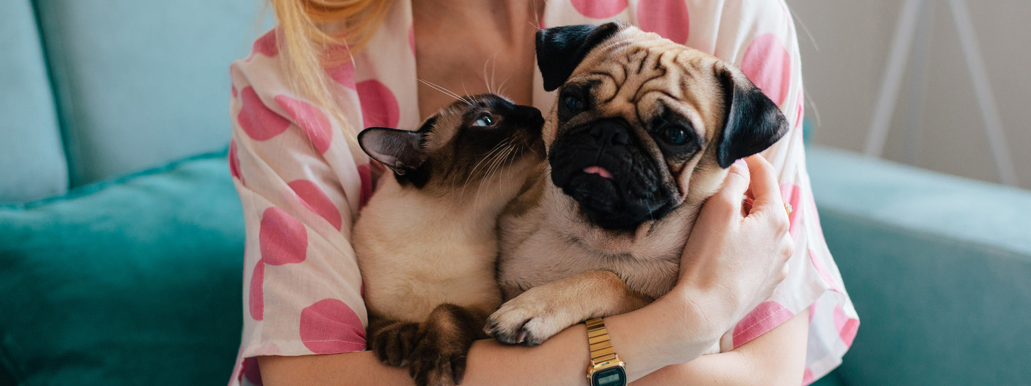 Cardiac Support – tagged "Dog" – Fera Pets