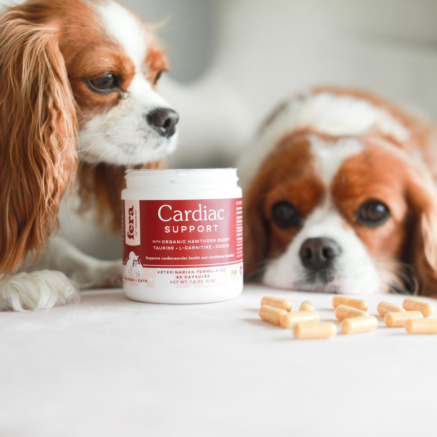 Fera Pets Rewards Program