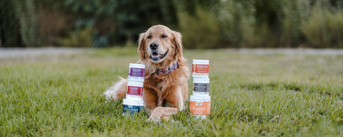 Fera Pets Rewards Program