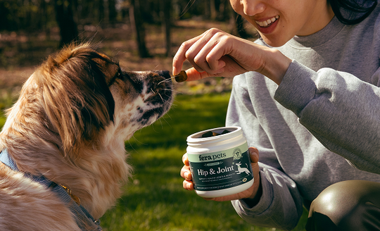Fera Pets - Supplements for Dogs and Cats