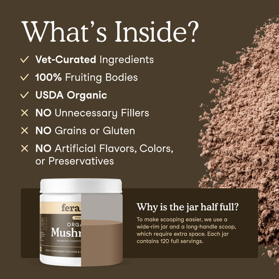USDA Organic Mushroom Blend for Immune Support – Fera Pets