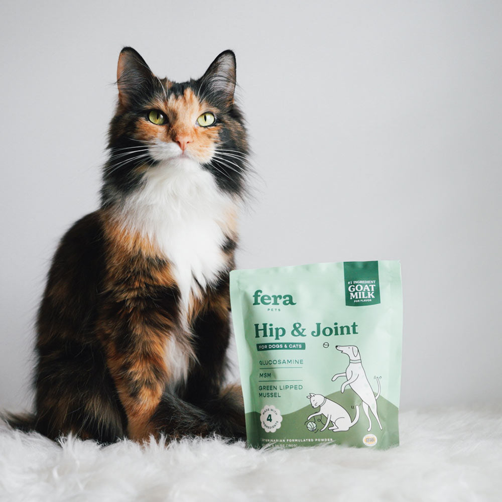 The Top Signs of Allergies in Pets and How You Can Help – Fera Pets