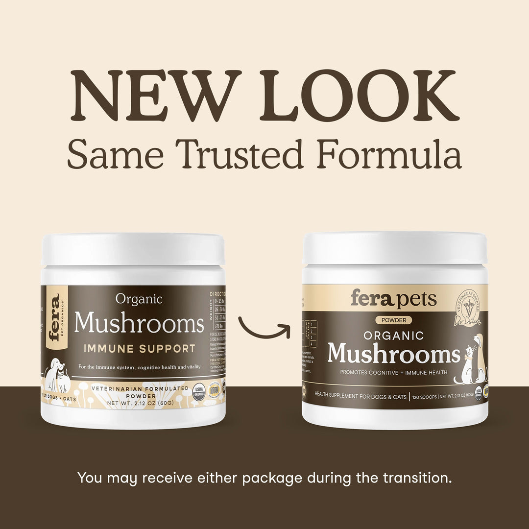 USDA Organic Mushroom Blend for Immune Support – Fera Pets