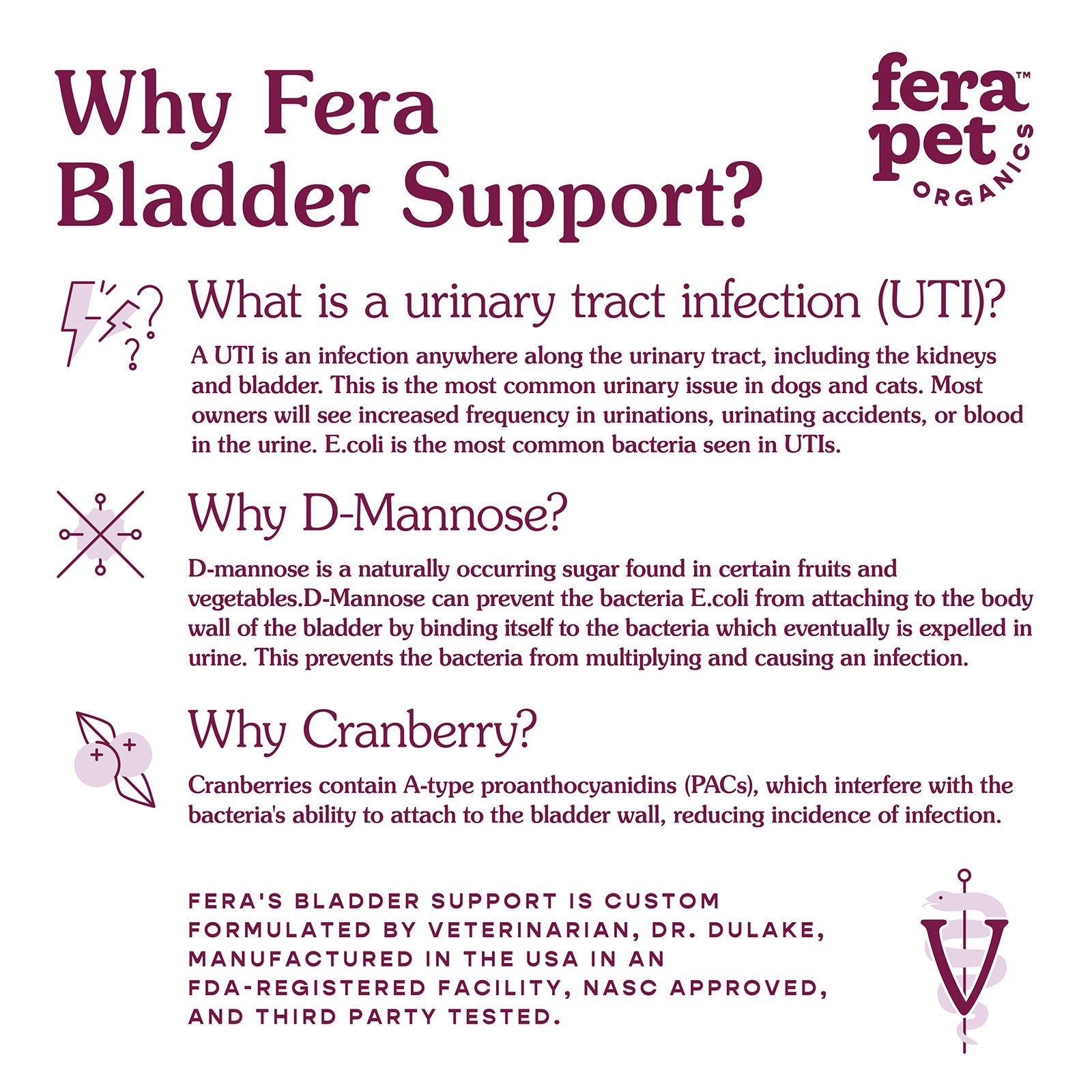 Bladder Support for Dogs and Cats – Fera Pets